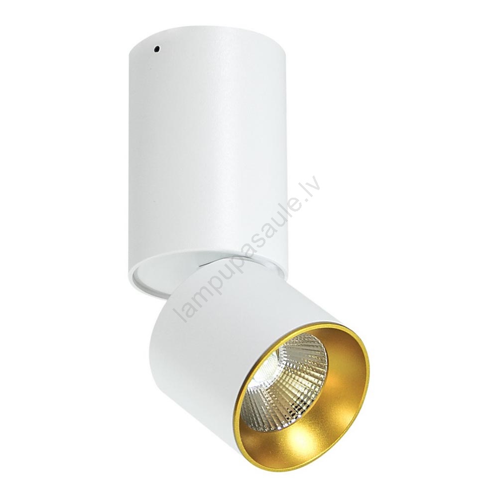 LED griestu lampa LED/10W/230V | Lampupasaule